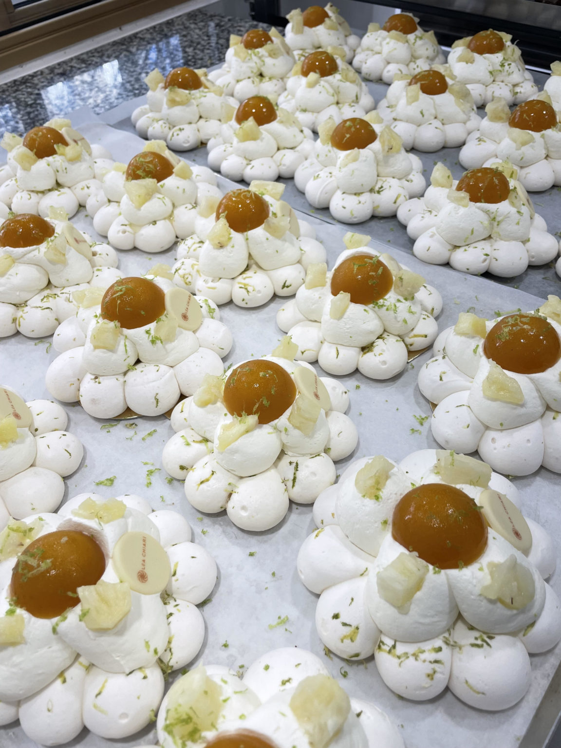 Pavlova Iris exotique 6/8 parts – Léa Chiari pâtisserie